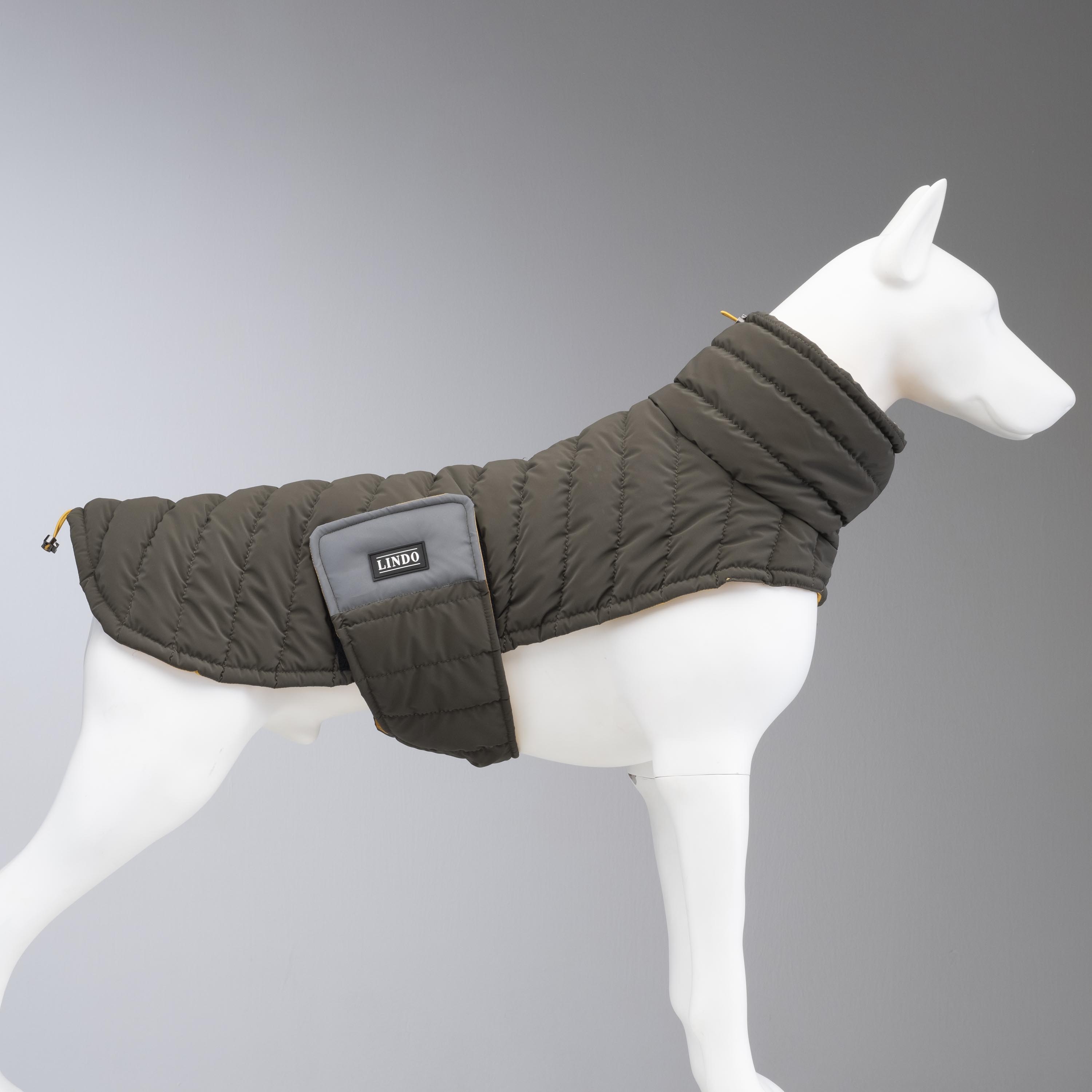 Air Puff Mango Dog Coat