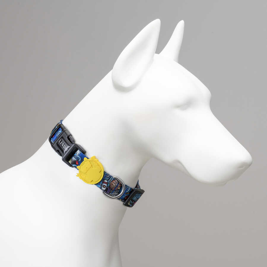 Apollo Collar