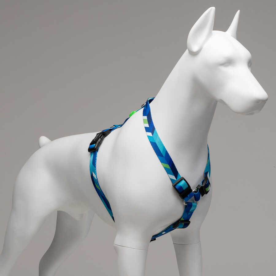 Blue Dream H-Harness