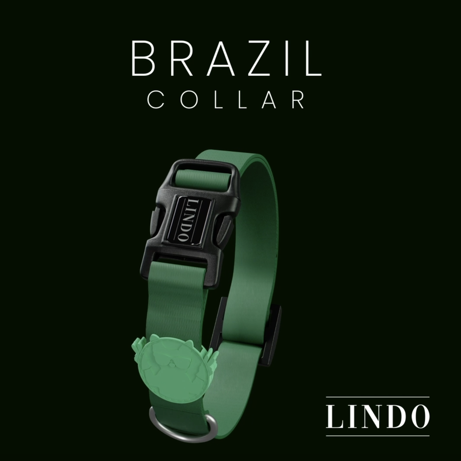 Brazil Collar