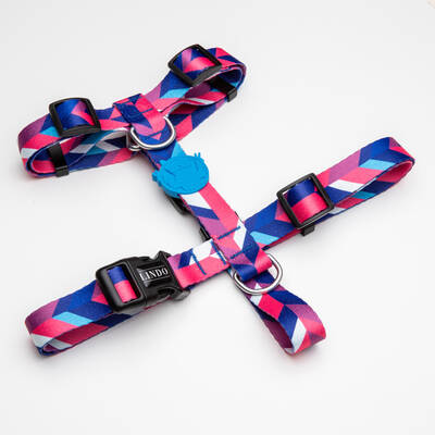 Pink Dream H-Harness